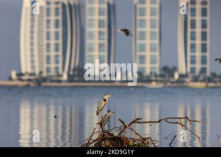 (Photo by Garry Lotulung/NurPhoto Stock Photo - Alamy