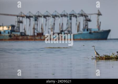 (Photo by Garry Lotulung/NurPhoto Stock Photo - Alamy
