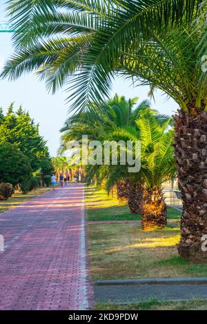 Batumi, Georgia - 30 August, 2022: Modern houses in Batumi city. Travel ...