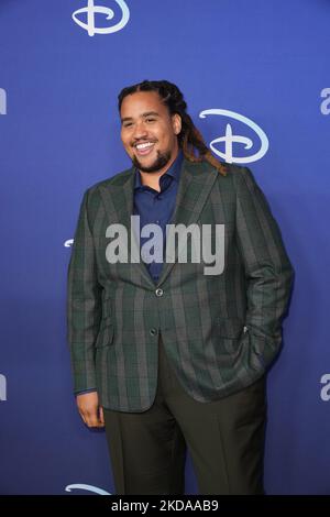 NEW YORK, NEW YORK - MAY 17: Lou Wilson attends the 2022 ABC Disney ...