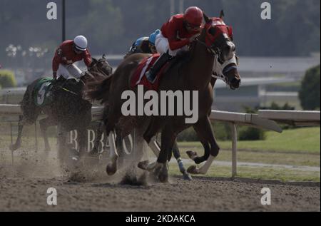 Second Women's Jockeys Race at the Hipódromo de Las Américas in Mexico ...