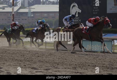 Second Women's Jockeys Race at the Hipódromo de Las Américas in Mexico ...