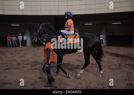 Second Women's Jockeys Race at the Hipódromo de Las Américas in Mexico ...