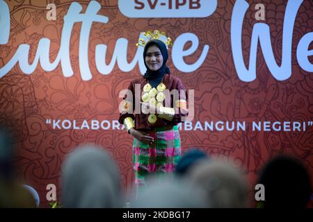 Bogor, West Java, Indonesia. 4th Feb, 2019. ''Barongsai'' (Lion ...