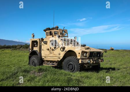 58th Military Police Company, 728th Military Police Battalion, 8th ...