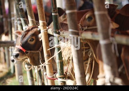 Dhaka, Dhaka, Bangladesh. 1st July, 2022. Ratha Yatra, the chariot ...