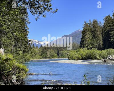 Hoh River along the Hoh River Trail in Olympic National Park in ...