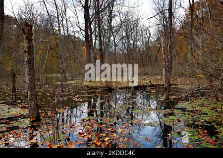 View of Yellow Springs, OH Stock Photo - Alamy