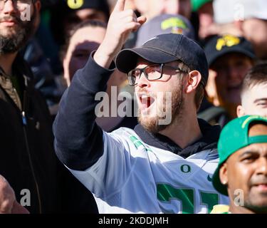 Boulder, CO, USA. 05th Nov, 2022. Oregon offensive lineman Malaesala ...