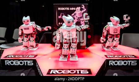 Long Beach, California, USA. 04th Nov, 2022. XOXE, a non-competing ...