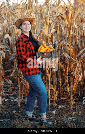 Woman farmer corn harvest field hat rural agriculture crop plant, adult ...