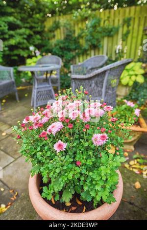 My private spot in the garden. Summertime - My private spot in the ...