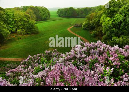 The forest of the Royal Estate De Horsten is worth seeing and has been ...