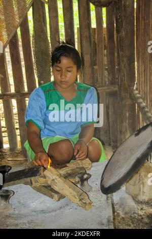 Woman demonstrates preparing and cooking yucca root tortillas in an ...