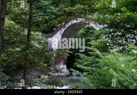 Historical Mikron Bridge - Rize - TURKEY Stock Photo - Alamy