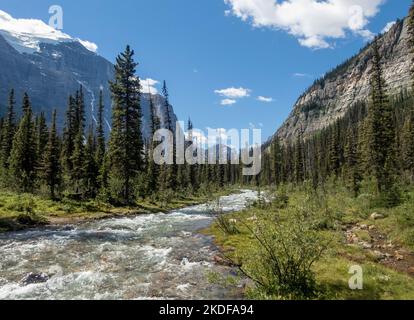 Hiking to Lake Annette in Banff National Park, passing forests and ...