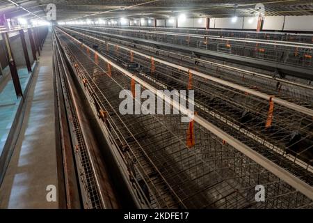 The empty laying cages in the chicken farm Stock Photo - Alamy