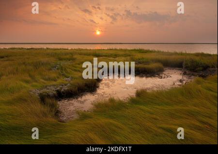 Sunrise in the Chesapeake Bay, the largest estuary in the United States ...