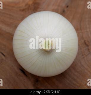 Pure organic raw onion Stock Photo - Alamy