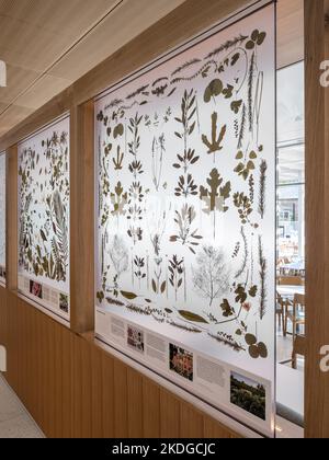 Sassafras Cafe at the Missouri Botanical Garden Stock Photo - Alamy