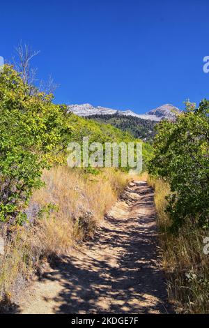 Hamongog hiking trail views Lone Peak Wilderness, Wasatch Front Rocky ...