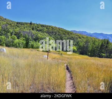 Hamongog hiking trail views Lone Peak Wilderness, Wasatch Front Rocky ...