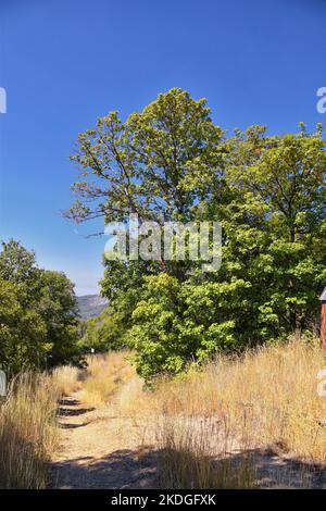 Hamongog hiking trail views Lone Peak Wilderness, Wasatch Front Rocky ...