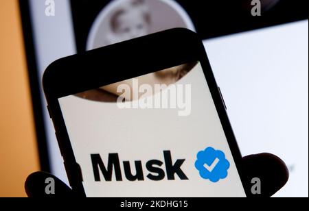 The Elon Musk Twitter home profile is seen in this photo illustration ...
