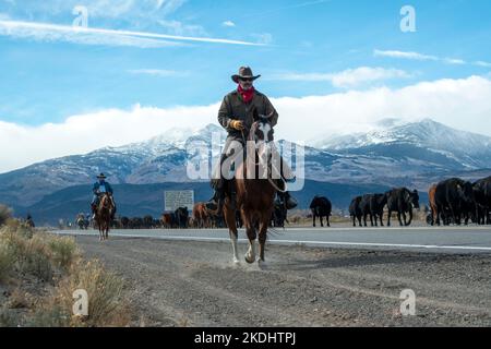 The Hunewill Ranch Cattle Drive happens every year in November out of ...