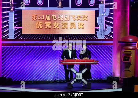Chinese actress and model Rayzha Alimjan won the 33rd Feitian Award for ...