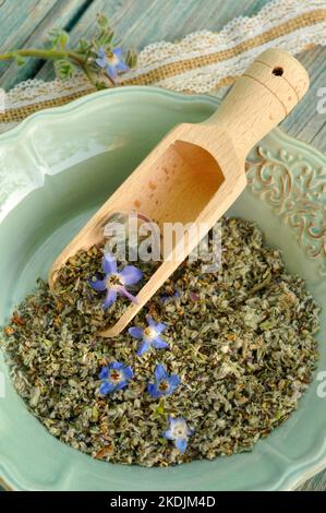 Borage officinale. blue flowered plant dried in a blue plate, wooden ...