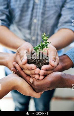 Nurturing their new business. Businesspeople working in an office Stock ...