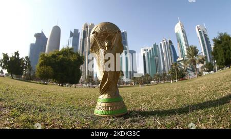Doha, Katar. 12th Jan, 2014. firo Football Soccer 01/12/2014 ...