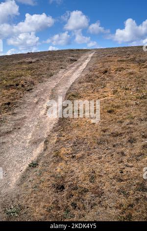 A worn footpath on The Warren, part of Pentire Point East in Newquay in ...