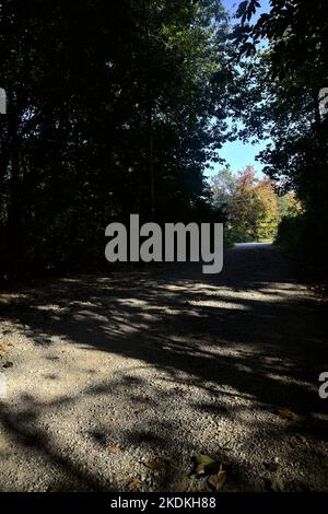 Road in the shade with trees framing trees lit by the sun Stock Photo ...