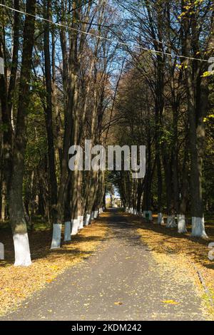 Palace in Konstantynów, Biała Podlaska County, Lublin Voivodeship, in ...