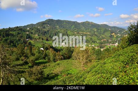 Yenihisar Village in Rize, Turkey, is connected to the town of Cayeli ...