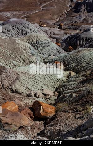 Petrified wood eroding out of badlands at Blue Mesa in Petrified Forest ...