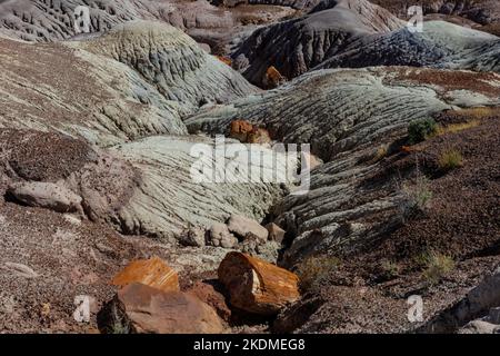 Petrified wood eroding out of badlands at Blue Mesa in Petrified Forest ...