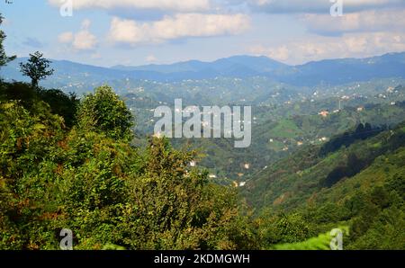 Yenihisar Village - Rize - TURKEY Stock Photo - Alamy