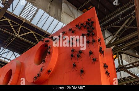 A picture of an art installation with black spiders on display at the ...