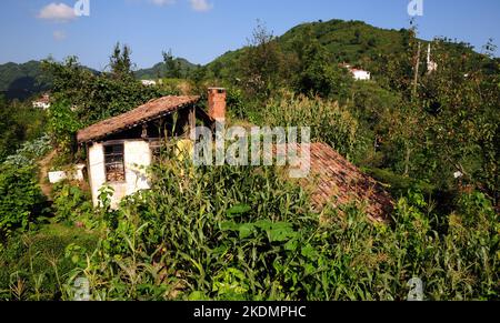 Yenihisar Village in Rize, Turkey, is connected to the town of Cayeli ...