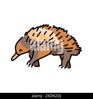 Australian echidna color line illustration. Animals of Australia Stock ...