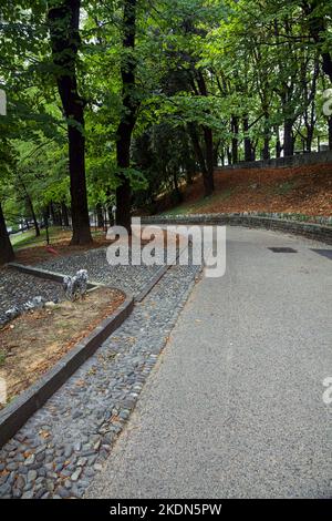 Descending paved path in a park forking with a stone staircase Stock ...