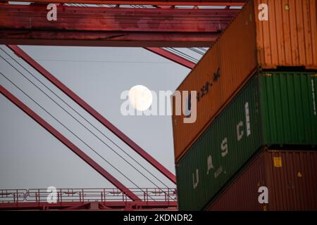 Pusan, South Korea. 05th Nov, 2022. German President Frank-Walter ...