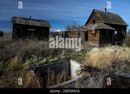 Old Farmstead in Oregon with views of Mt. Hood Stock Photo - Alamy