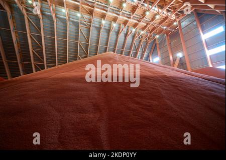 High pile of red color potassium fertilizers in storehouse Stock Photo ...