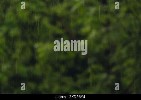 Defocused background of Heavy rain pouring shower, thunderstorm in ...