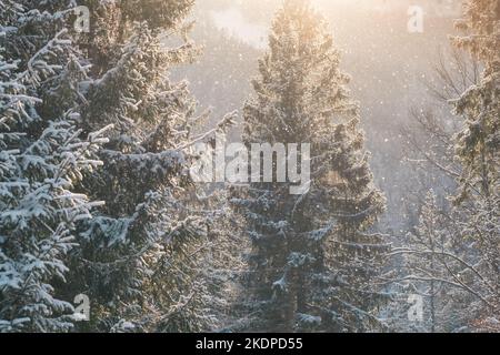 Winter landscape with falling snow, defocused background Stock Photo ...