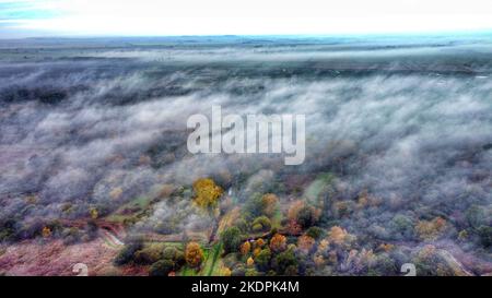 Ramsey, UK. 06th Nov, 2022. Low cloud over some trees near Ramsey ...